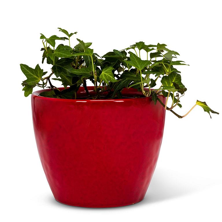 Small Round Planter – HoneyGramz